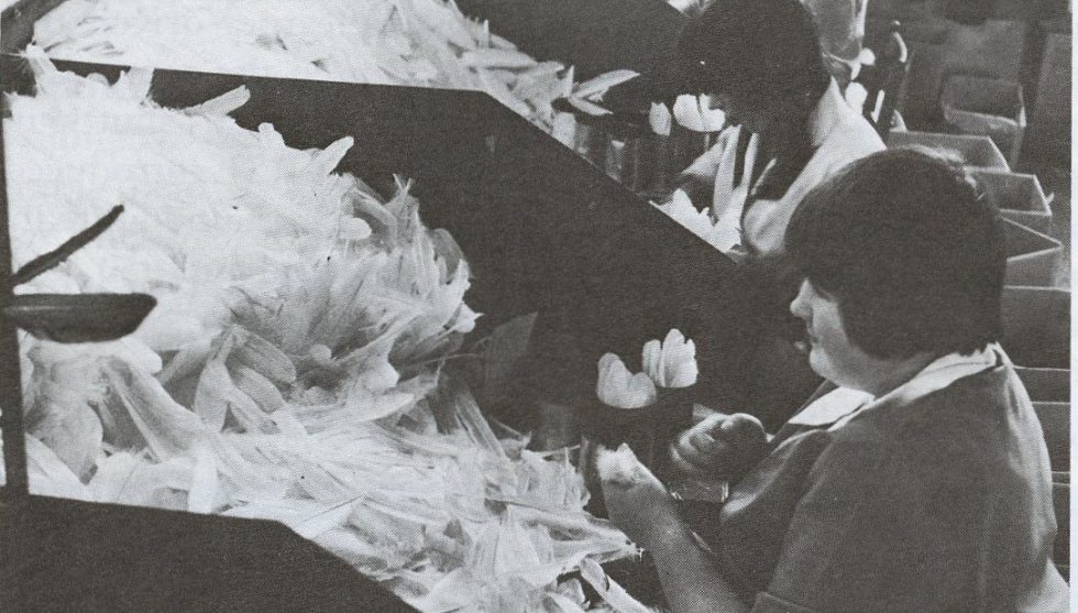 The History of Reinforced Shuttlecocks Ltd – RSL - The Badminton Museum